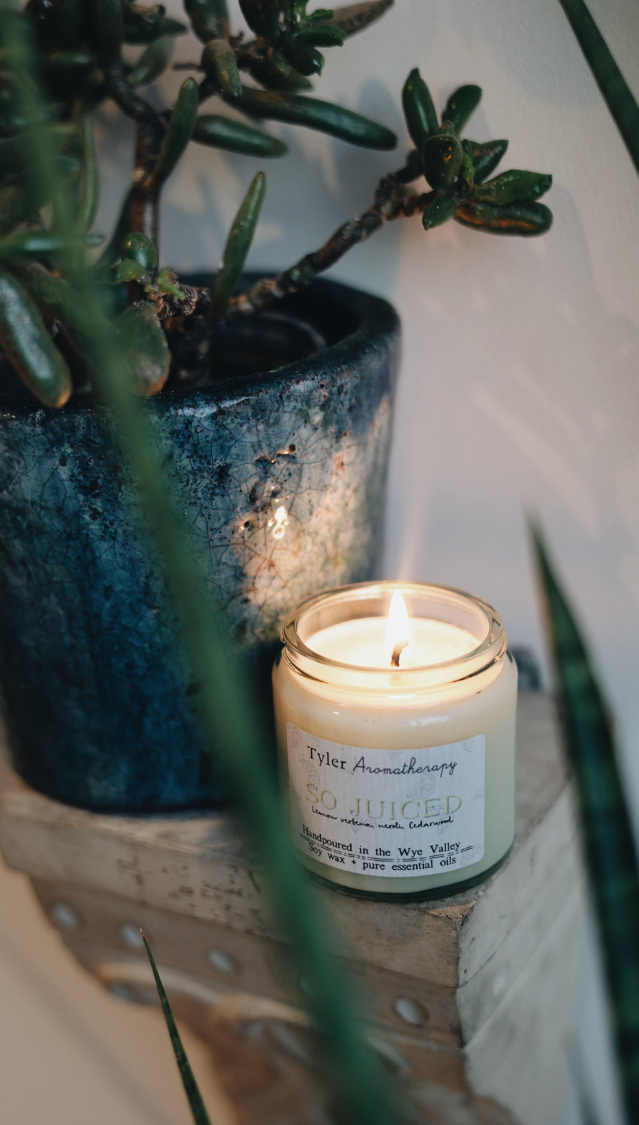 So Juiced mood candle - Energising Scent – Tyler Aromatherapy Ltd