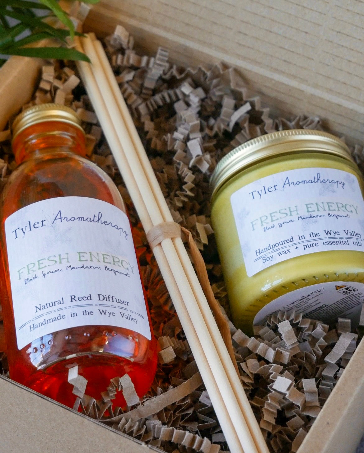 Fresh Energy mood candle and diffuser set , self care gift